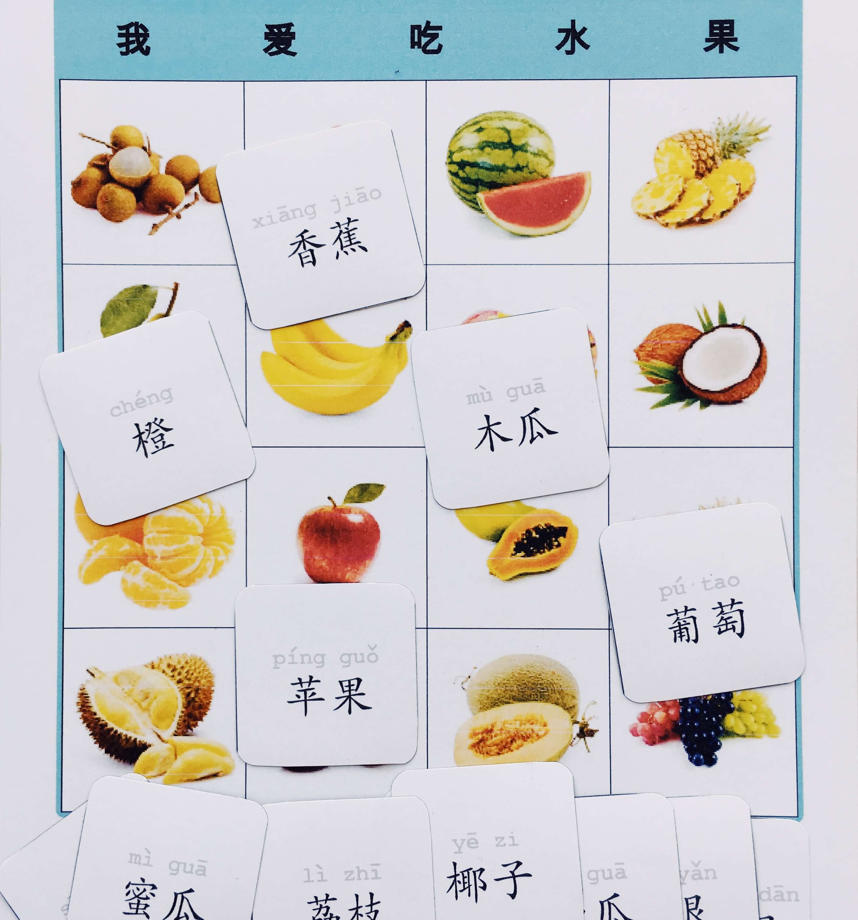 Bilingual Picture Magnets | Chinese with Hanyu Pinyin and English ...