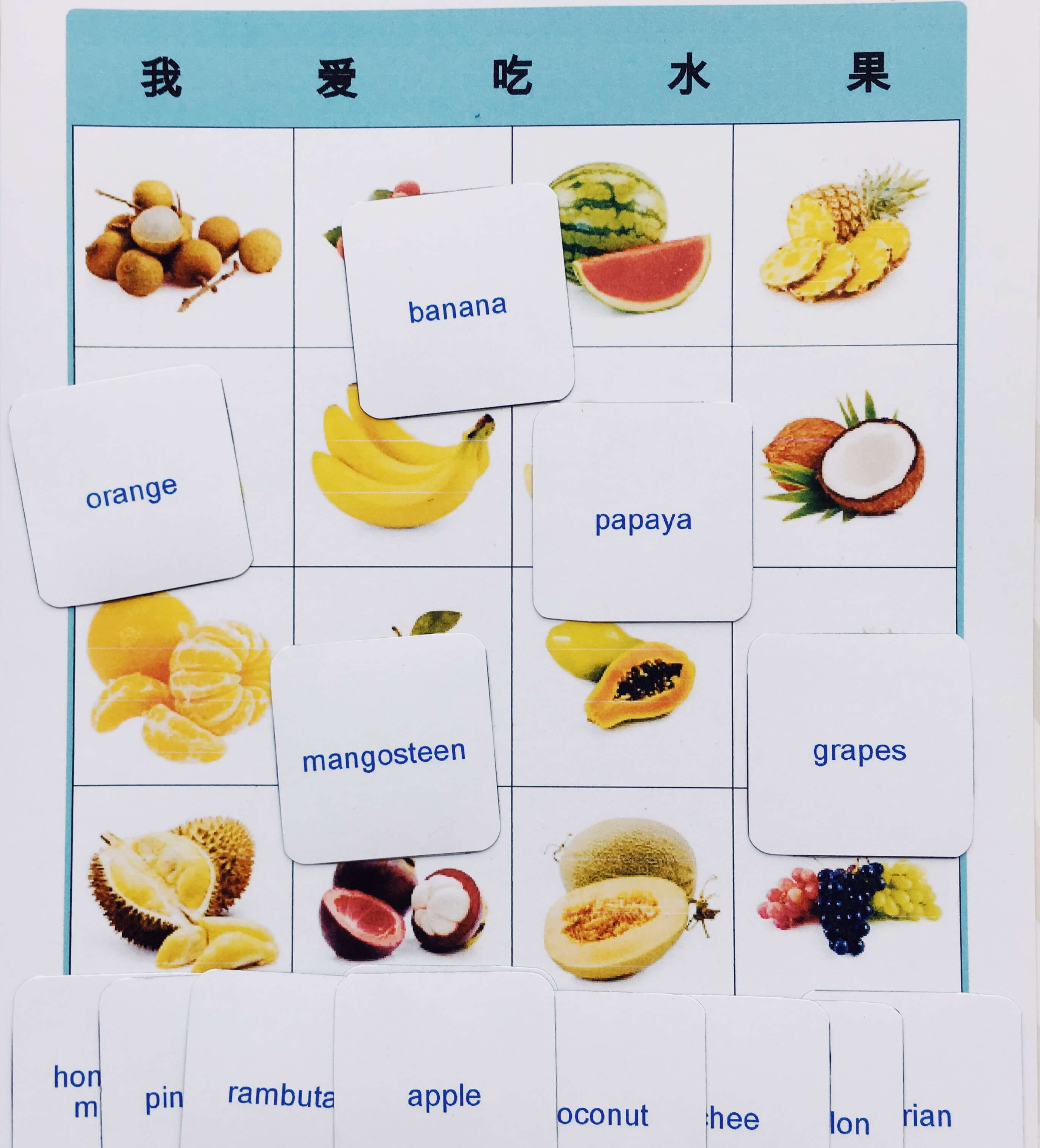 Bilingual Picture Magnets | Chinese with Hanyu Pinyin and English ...