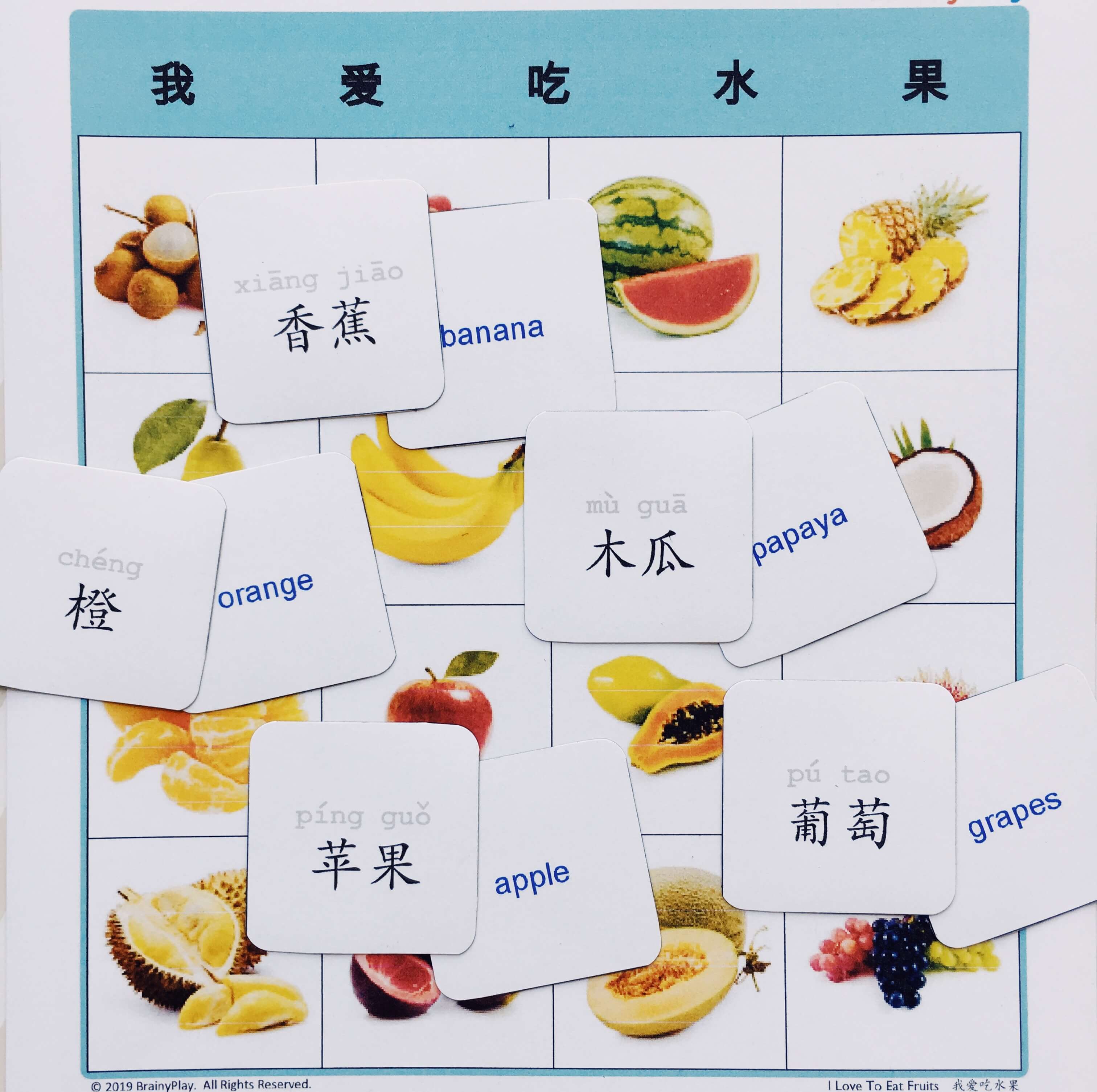 Bilingual Picture Magnets | Chinese with Hanyu Pinyin and English ...