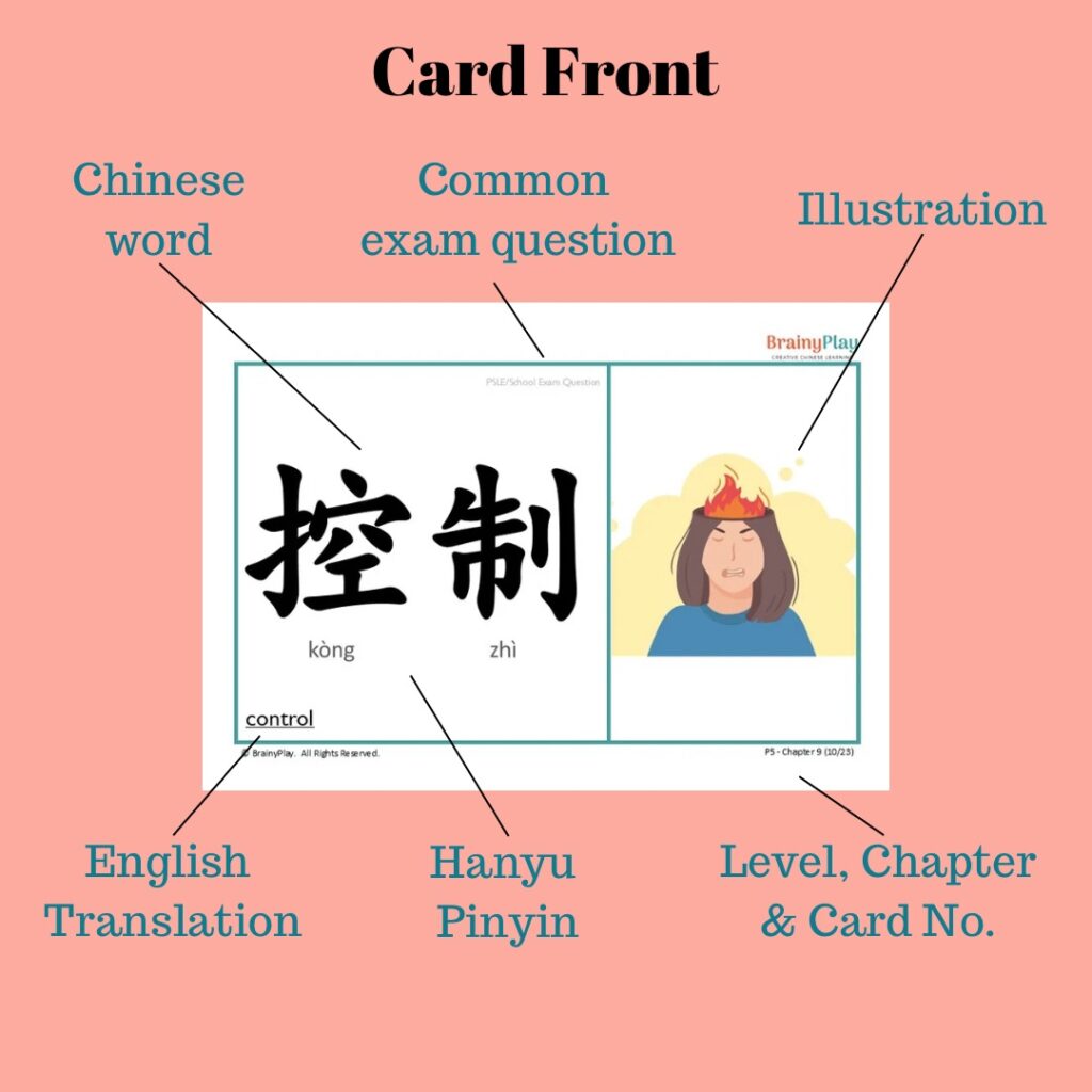 Primary 5 (5A & 5B) Chinese Flashcards – BrainyPlay