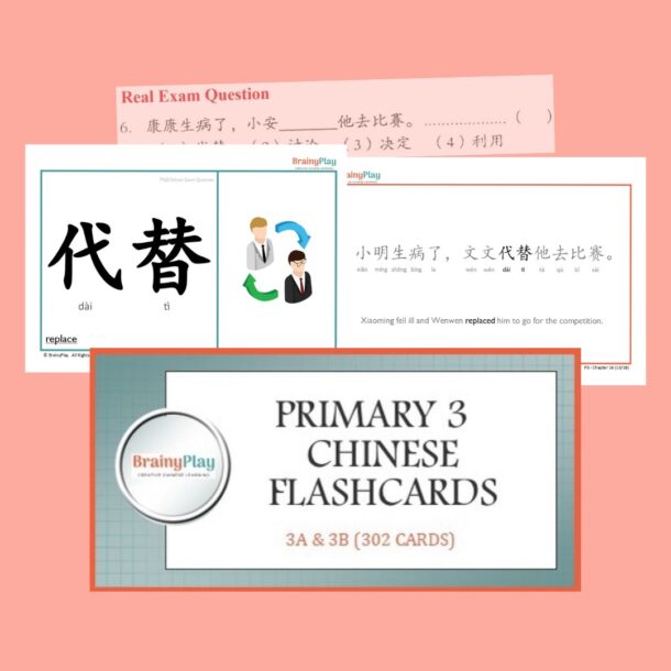 Primary 3 (3A & 3B) Chinese Flashcards – BrainyPlay