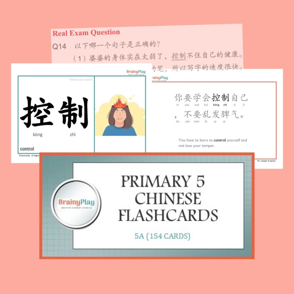 Primary 5A Chinese Flashcards – BrainyPlay